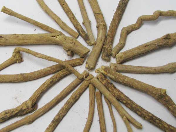 African Dream Root | Whole | Scientific Genie