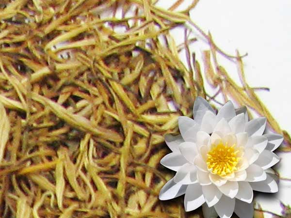 White Lotus Stamen | Canada | USA | White Lotus Wholesale